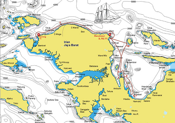 Diving Cenderawasih Bay